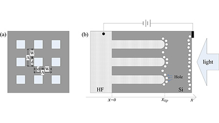 Electrolyte diffusion model in macroporous silicon photo ...