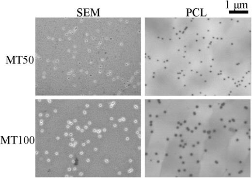 Nanoscopic spectroscopy of potential barriers formed around V-pits in ...