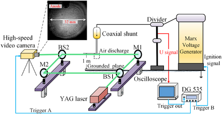 The dynamic expansion of leader discharge channels under positive ...