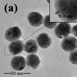 In situ detection of hot-electron-induced photocatalytic reduction ...