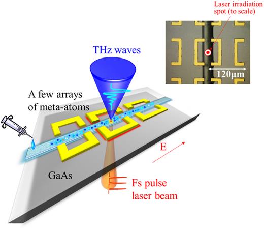 Potential clinical applications of terahertz radiation | Journal of Applied Physics | AIP Publishing