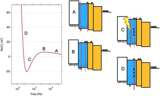 Negative capacitance as a diagnostic tool for recombination in purple ...