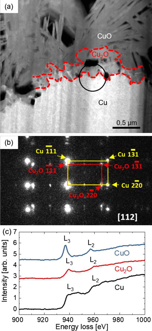 A neutron scattering and electron microscopy study of the structure ...