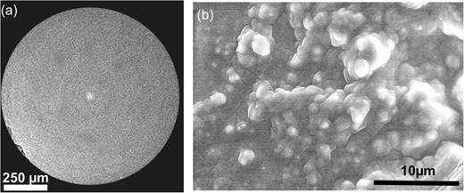 Hot-spot generation and growth in shocked plastic-bonded explosives ...