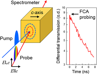 Intrinsic shape of free carrier absorption spectra in 4H-SiC | Journal ...