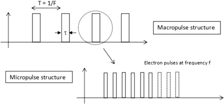 Evolution of the micropulse structure of an electron beam propagating ...