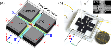 A microfluidic chip for single-cell 3D rotation enabling self-adaptive ...