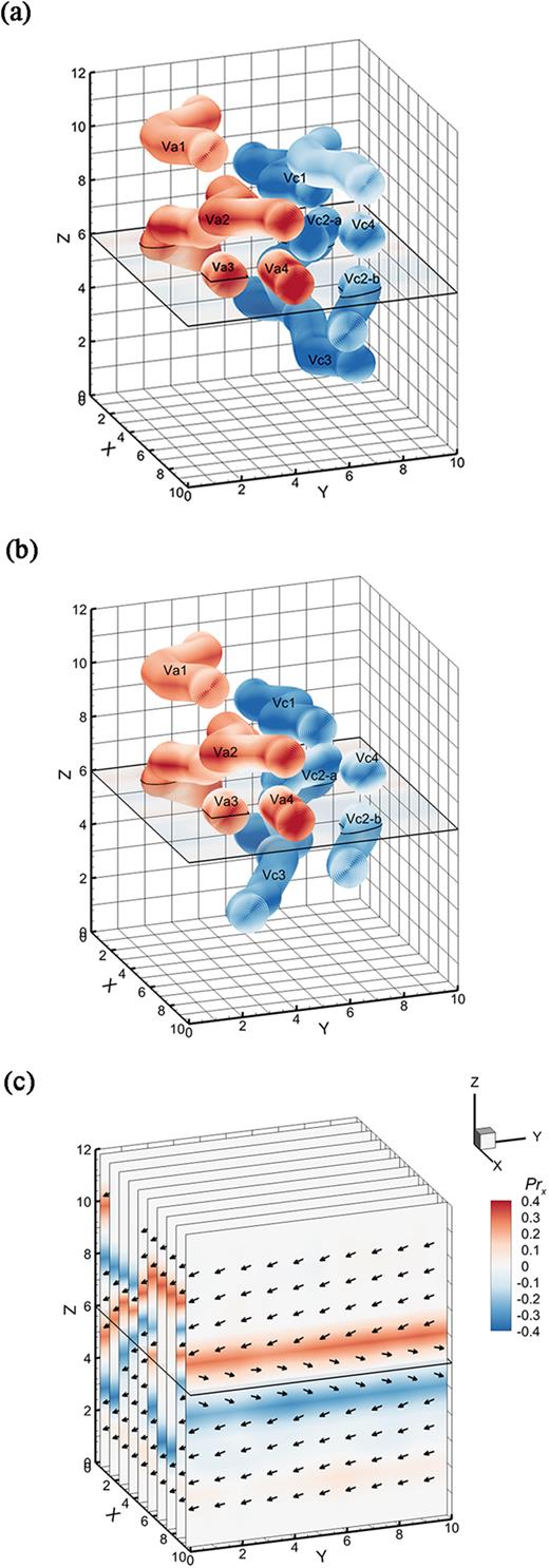 Three-dimensional polarization vortex configuration evolution in ...