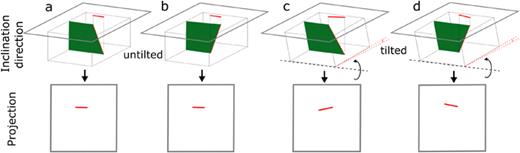 Extra half-plane shortening of dislocations as an origin of tensile ...