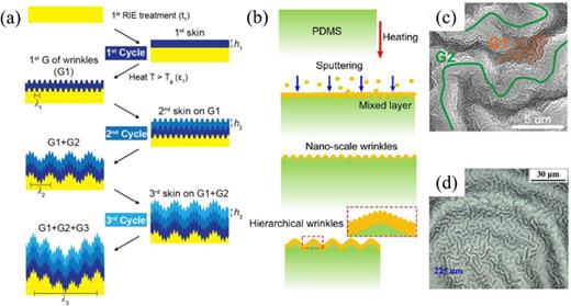 Tunable hierarchical wrinkling: From models to applications | Journal ...