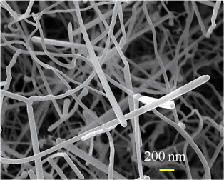 Nano-spectroscopic and nanoscopic imaging of single GaN nanowires in ...