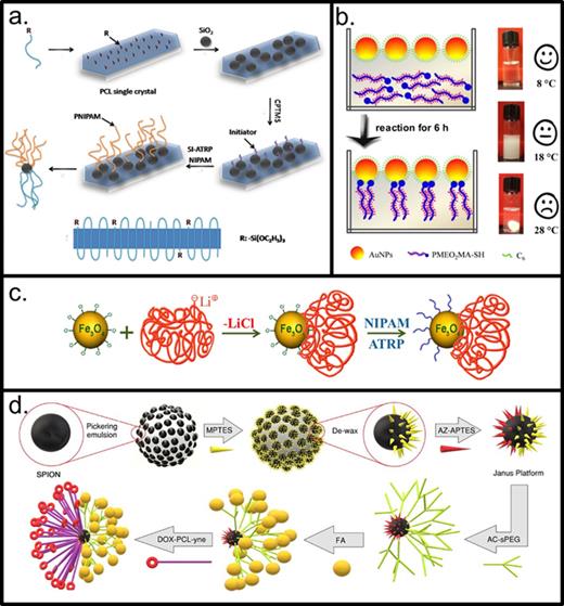 Janus nanoparticle synthesis: Overview, recent developments, and ...