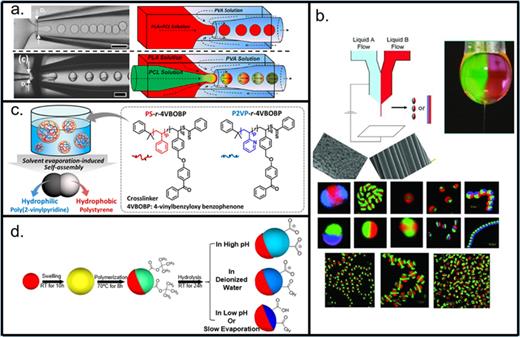 Janus nanoparticle synthesis: Overview, recent developments, and ...