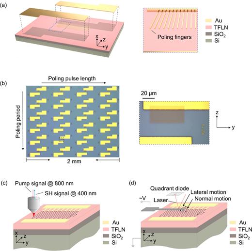 Poling thin-film x-cut lithium niobate for quasi-phase matching with ...