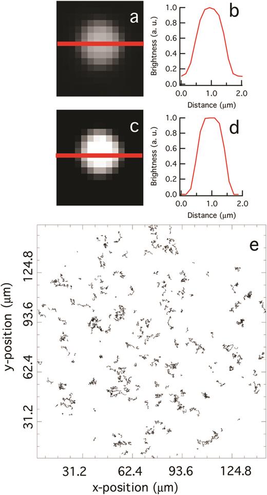 Multiple particle tracking microrheological characterization ...