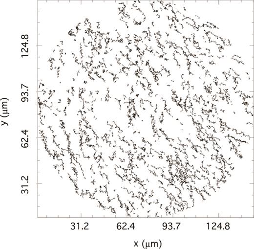 Multiple particle tracking microrheological characterization ...