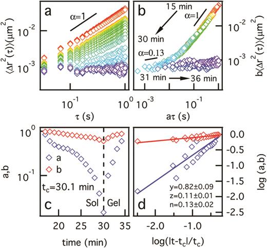 Multiple particle tracking microrheological characterization ...