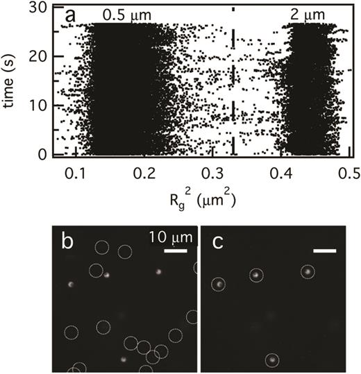 Multiple particle tracking microrheological characterization ...