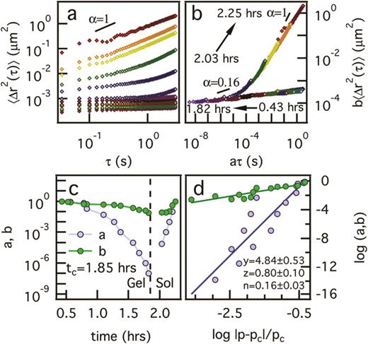 Multiple particle tracking microrheological characterization ...