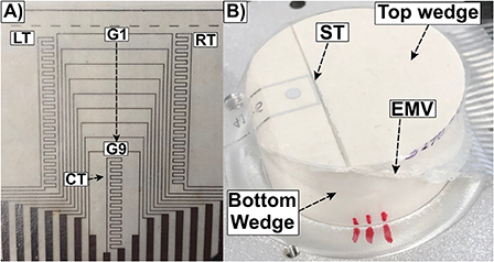 Shock initiation of the HMX-based explosive PBX 9012: Experiments ...