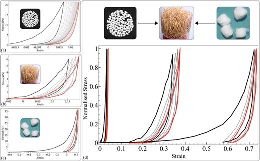 Mechanics of randomly packed filaments—The “bird nest” as meta-material ...