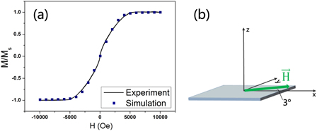 The formation process and structure of the skyrmion bubble lattice in ...