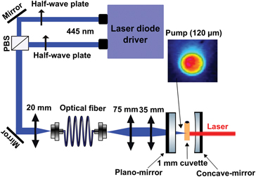 Temporal dynamics of diode-pumped circulation-free liquid dye lasers ...