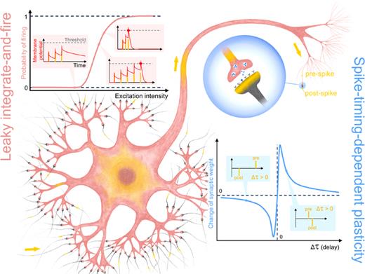 Neuromorphic computing with antiferromagnetic spintronics | Journal of ...