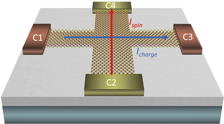 A computational study of spin Hall effect device based on 2D materials ...