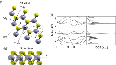 Metal to semiconductor transition of two-dimensional NbSe2 through ...