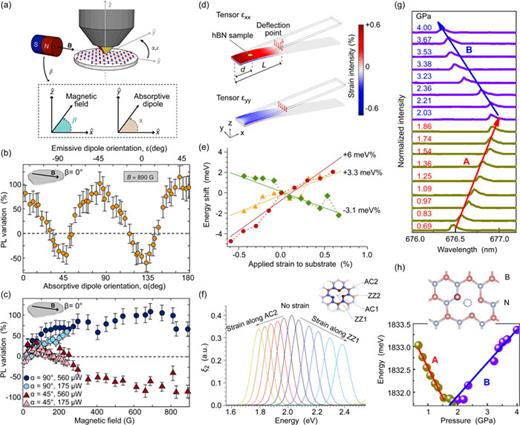 Point defects in two-dimensional hexagonal boron nitride: A perspective ...