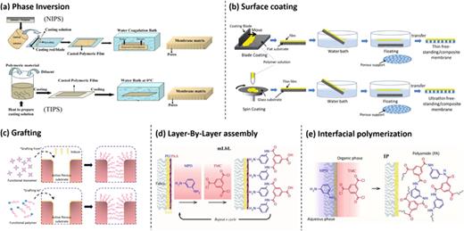 Design and fabrication of highly selective and permeable polymer ...