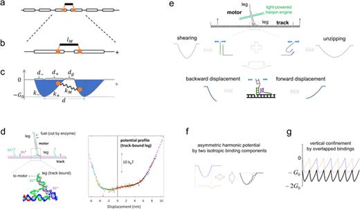 A unified model for DNA bipedal nanomotors | Journal of Applied Physics ...