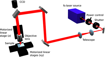 Dynamic mechanical characterization of two-photon-polymerized SZ2080 photoresist | Journal of ...