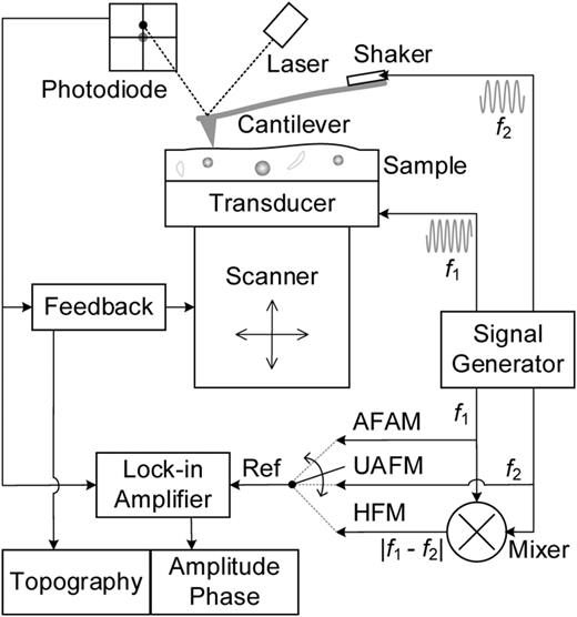 Nanoscale ultrasonic subsurface imaging with atomic force microscopy ...