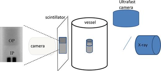 Experimental observations of exploding bridgewire detonator function ...