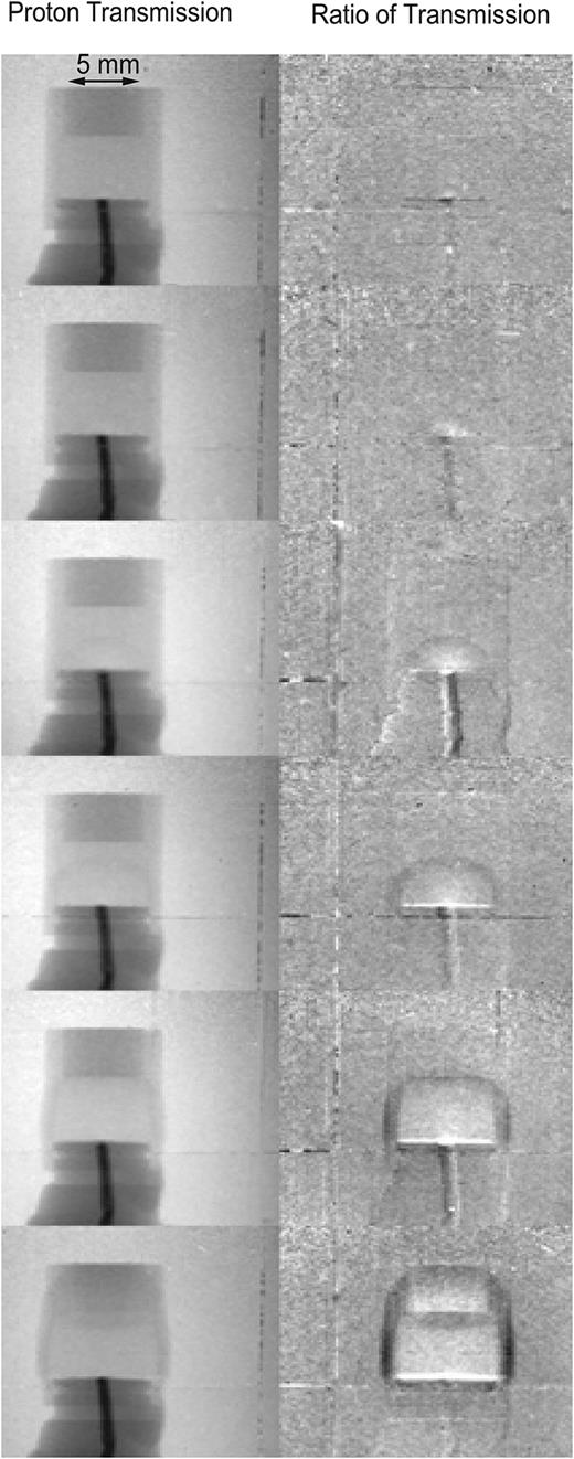 Experimental observations of exploding bridgewire detonator function ...