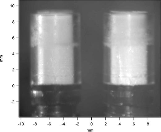 Experimental observations of exploding bridgewire detonator function ...