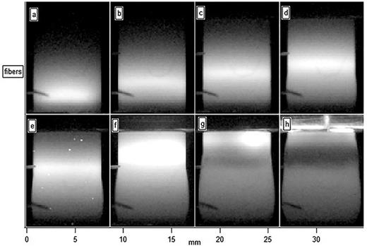 Experimental observations of exploding bridgewire detonator function ...
