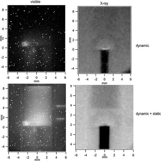 Experimental observations of exploding bridgewire detonator function ...