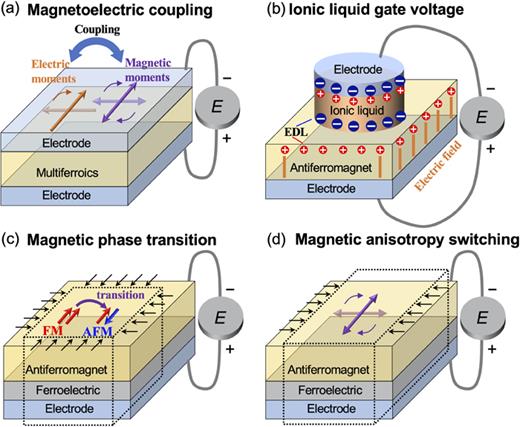 Functional antiferromagnets for potential applications on high-density ...