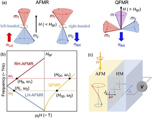 Functional antiferromagnets for potential applications on high-density ...