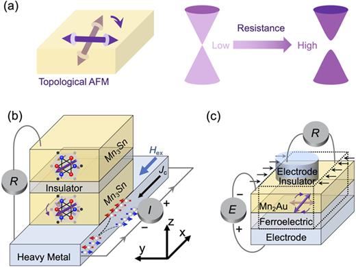Functional antiferromagnets for potential applications on high-density ...