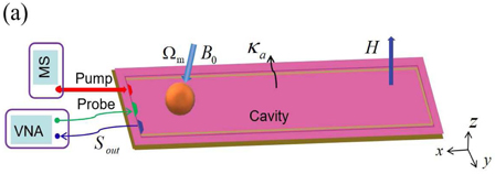 Phase control of the transmission in cavity magnomechanical system with ...