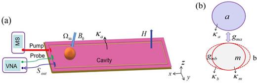 Phase control of the transmission in cavity magnomechanical system with ...