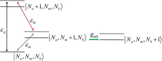 Phase control of the transmission in cavity magnomechanical system with ...