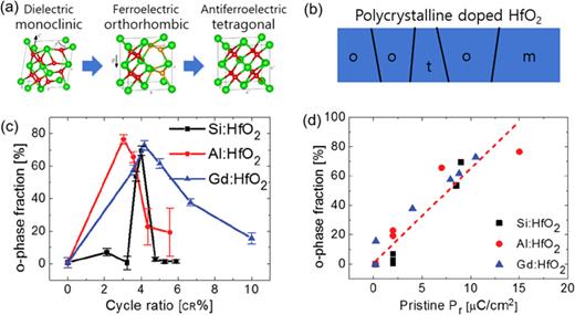 A perspective on semiconductor devices based on fluorite-structured ...