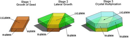 Growth of bulk GaN crystals | Journal of Applied Physics | AIP Publishing