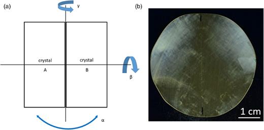 Growth of bulk GaN crystals | Journal of Applied Physics | AIP Publishing