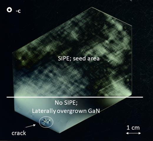 Growth of bulk GaN crystals | Journal of Applied Physics | AIP Publishing